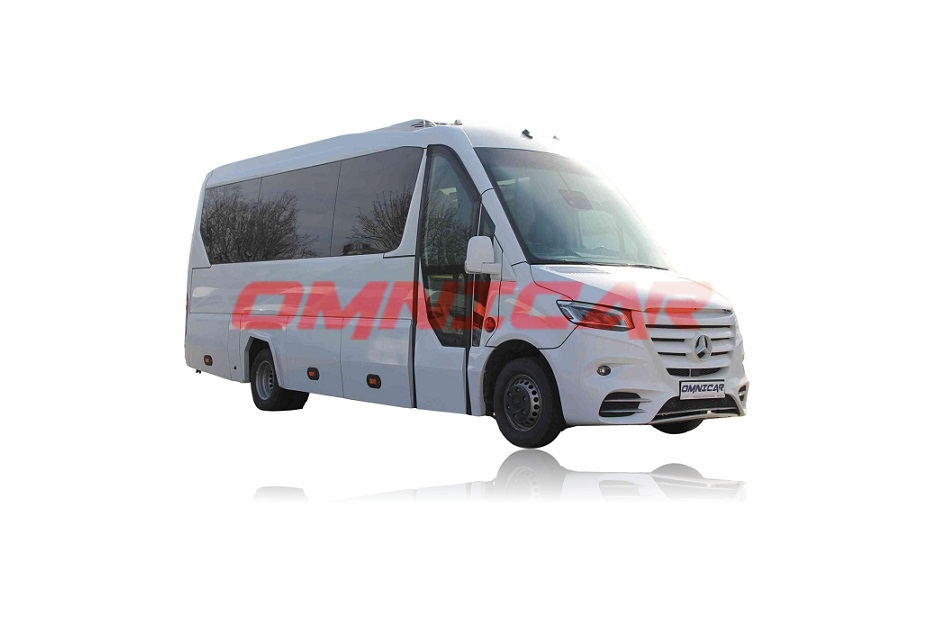 Sprinter VIP 19+1+1 châssis suspension air 519 automatique toutes options